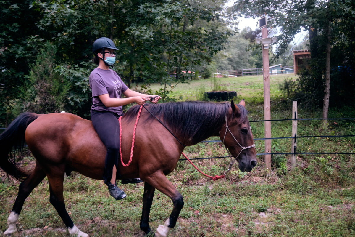 OUR PROGRAM - CORRAL