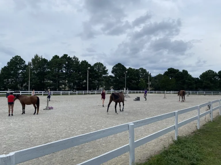 CORRAL Riding Academy helps young girls learn the reins of life - CORRAL