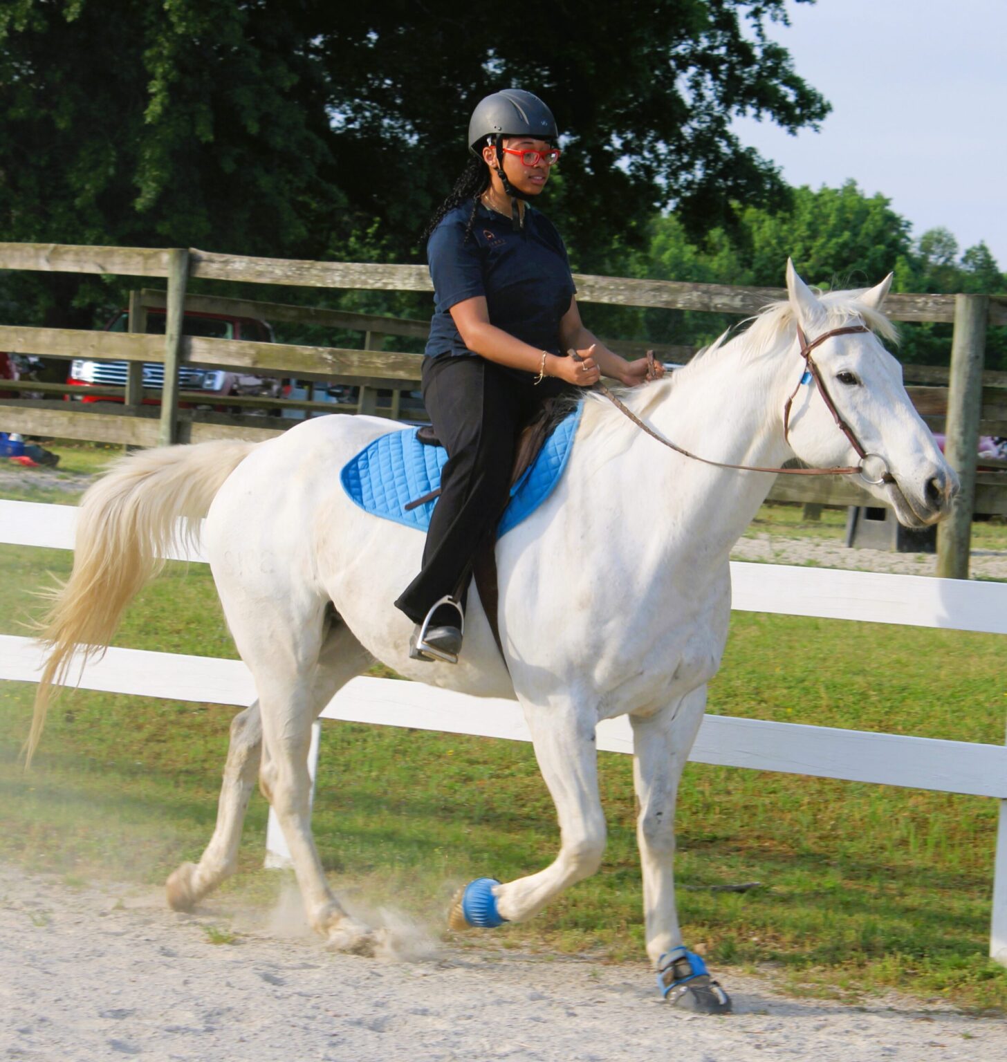 OUR PROGRAM - CORRAL